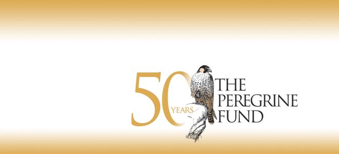 Home | The Peregrine Fund
